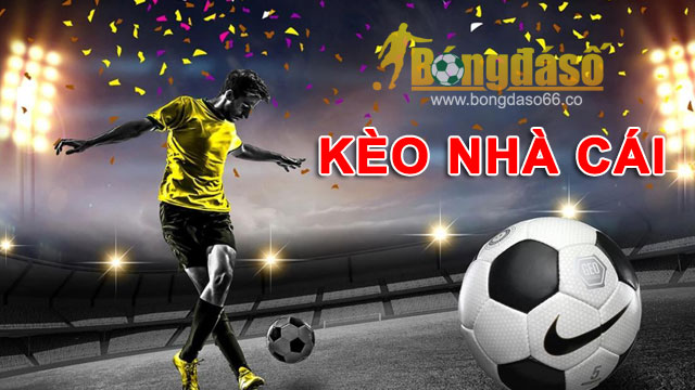 Bongdaso66 ⭐ Bóng đá số - Dữ liệu 66, Bongdaso tỷ lệ hôm nay